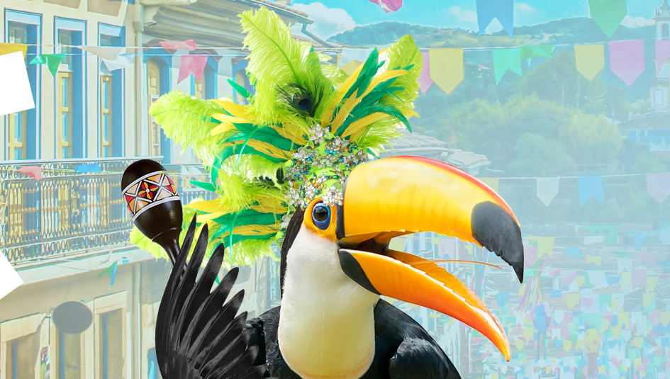 Top Tips for Throwing a Brazilian Themed Party